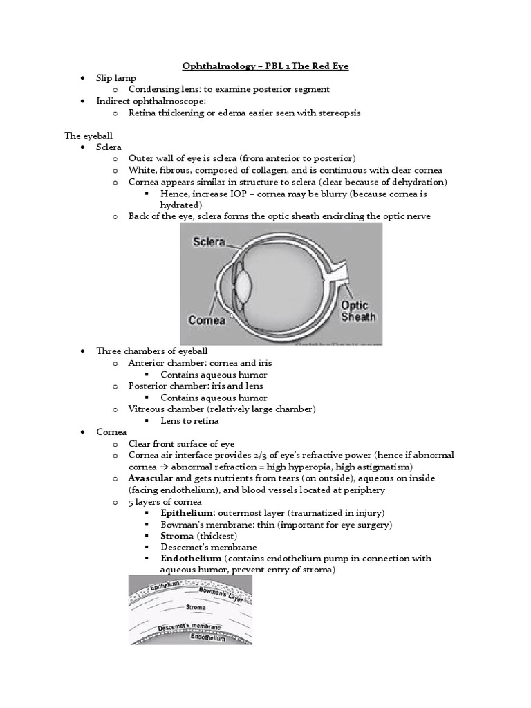 Ciliary Injection and Oviral Capsule Insights | PDF | Cornea | Human Eye