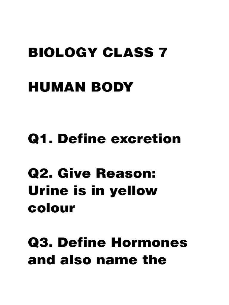 Biology Human Excretory System Worksheet by Pavan | PDF