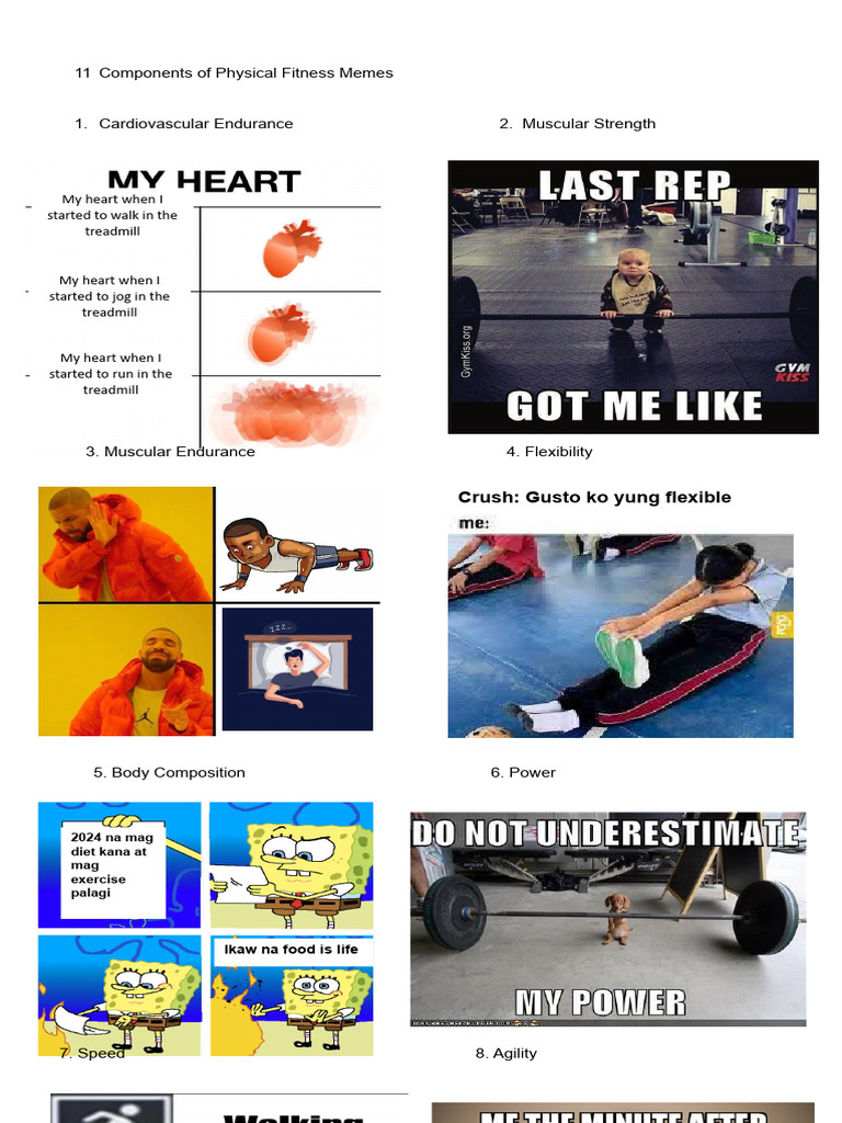 Components of Physical Fitness Memes | PDF | Self-Improvement