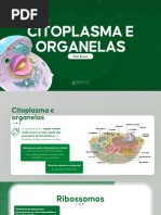 Mapas Mentais Sobre CITOLOGIA - Study Maps | PDF | Célula (Biologia) | Citoplasma