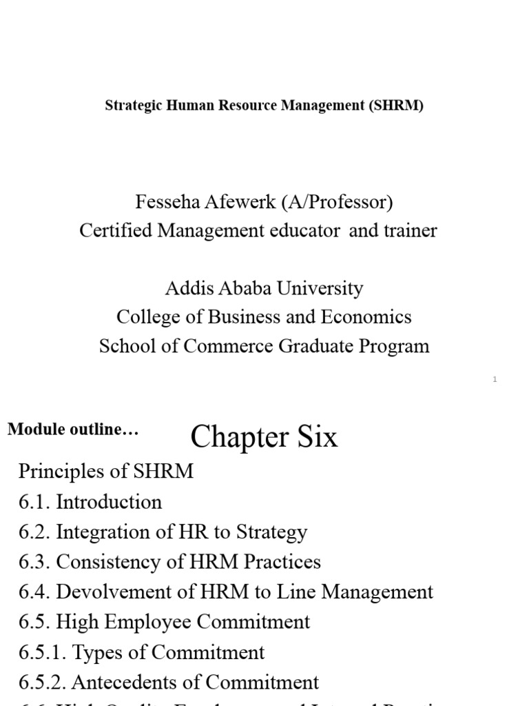 Chapter Six PRINCIPLWA OF SHRM | PDF | Human Resource Management | Strategic Management