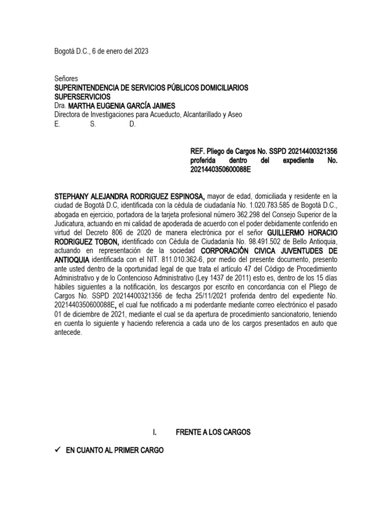 Presentacion Descargos Modelo | PDF | Adopción | Constitución
