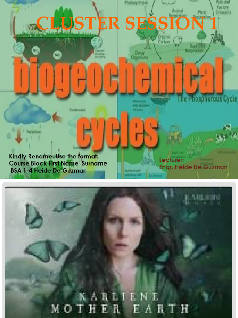 Biogeo Cluster23 | PDF | Carbon Cycle | Sulfur