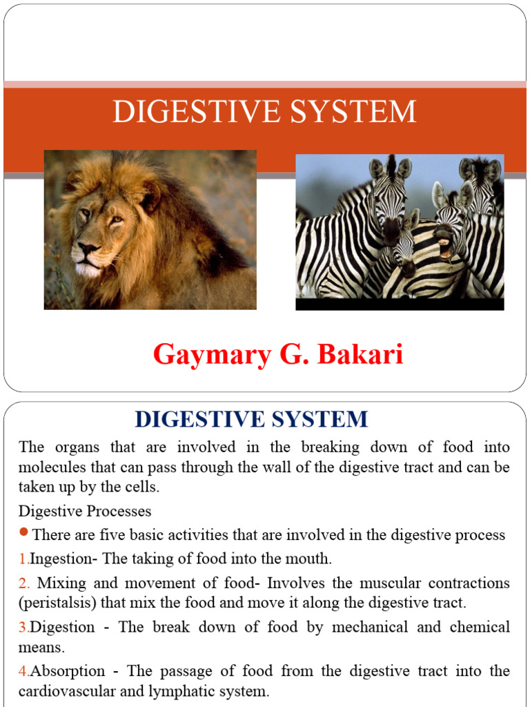 1 - Introduction of Digestive System-2 | PDF | Stomach | Saliva
