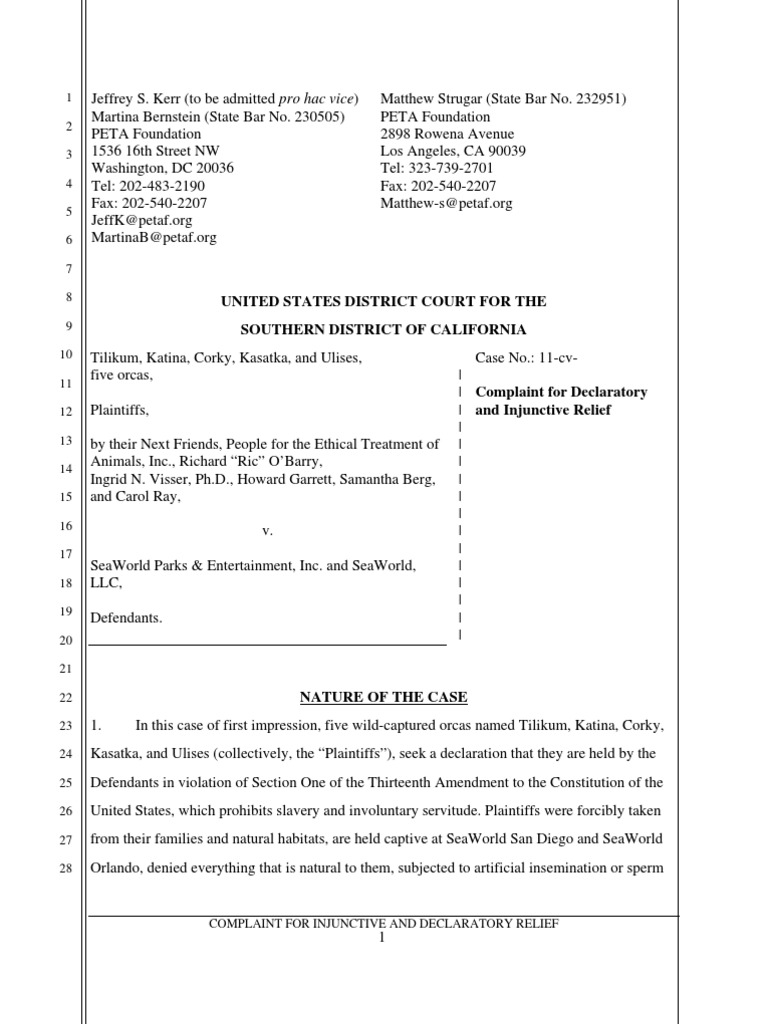 Orcas' Rights: PETA vs. SeaWorld | PDF | Killer Whale | Sea World