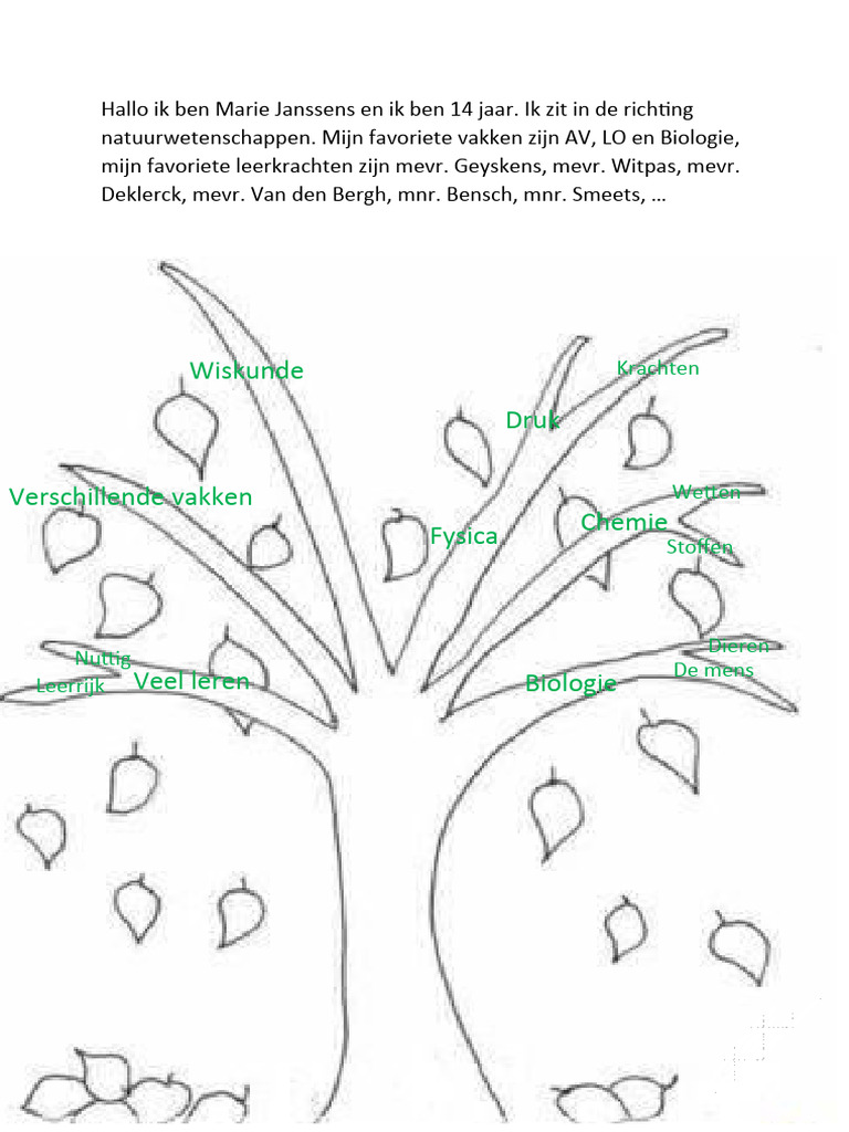 Jezelf Voorstellen | PDF