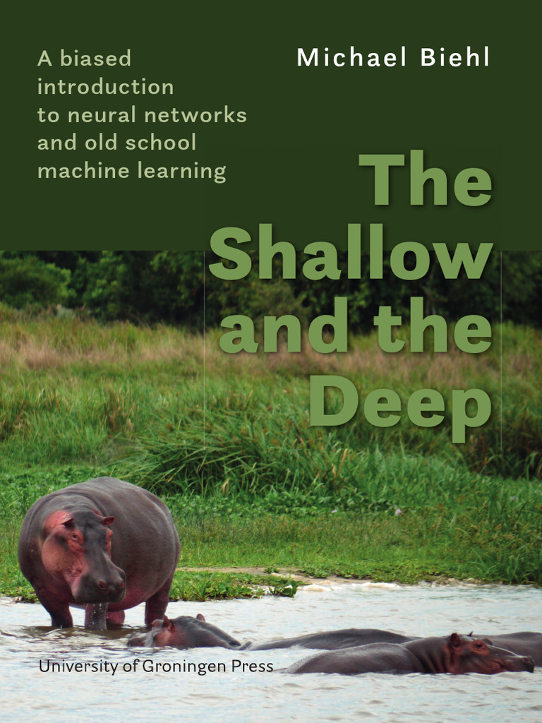 The Shallow and The Deep | PDF