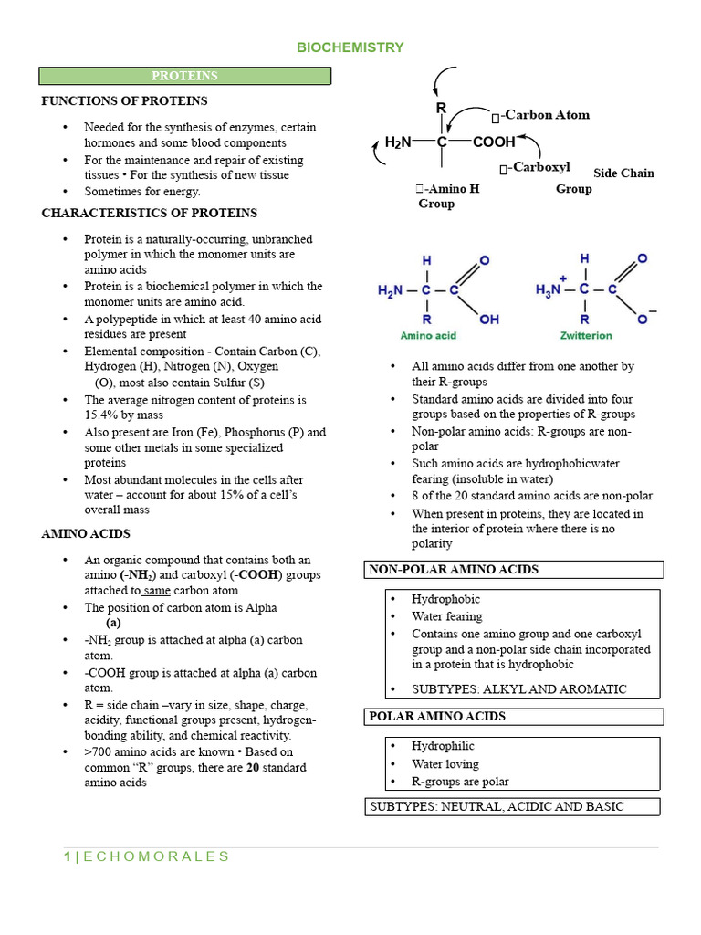 Chem (Lec) Reviewer Proteins | PDF | Amino Acid | Proteins