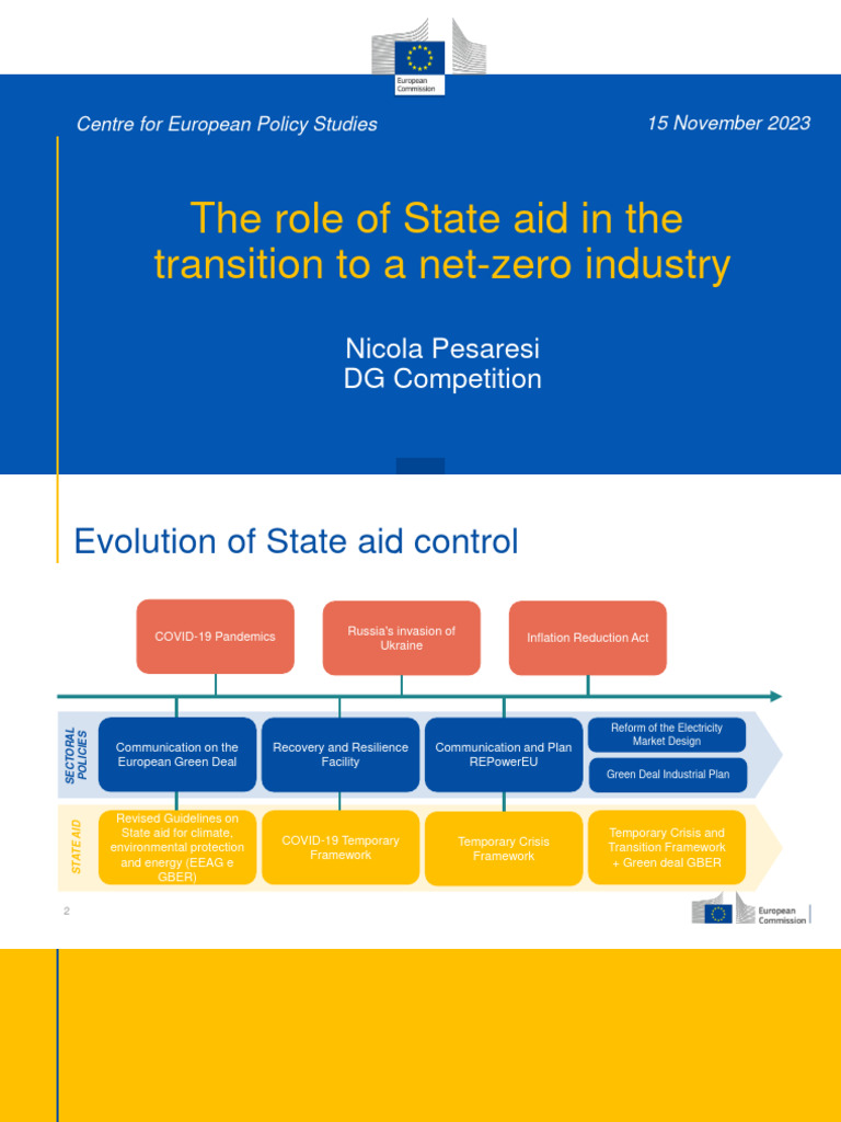 The Role of State Aid in The Transition To A Net-Zero Industry - Nicola ...