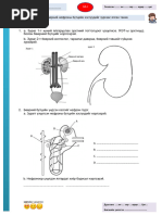 Emnelgiin Hog Hayagdal | PDF