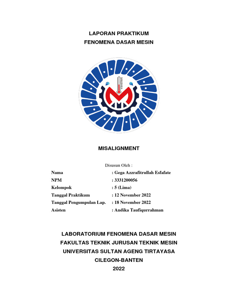 Misalignment Report Pdf