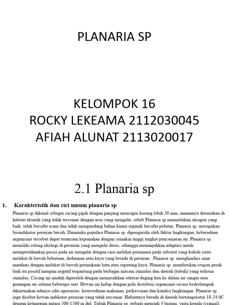 Morfologi dan Reproduksi Planaria sp. | PDF