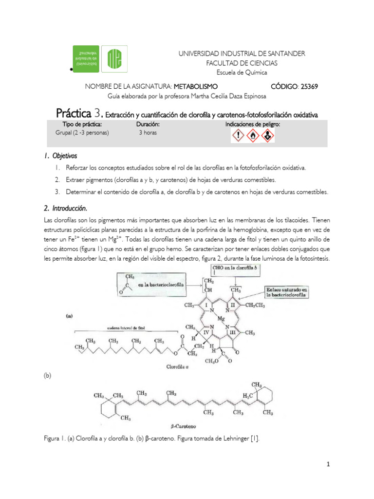 Práctica 3. Extracción y Cuantificación de Clorofilas ...