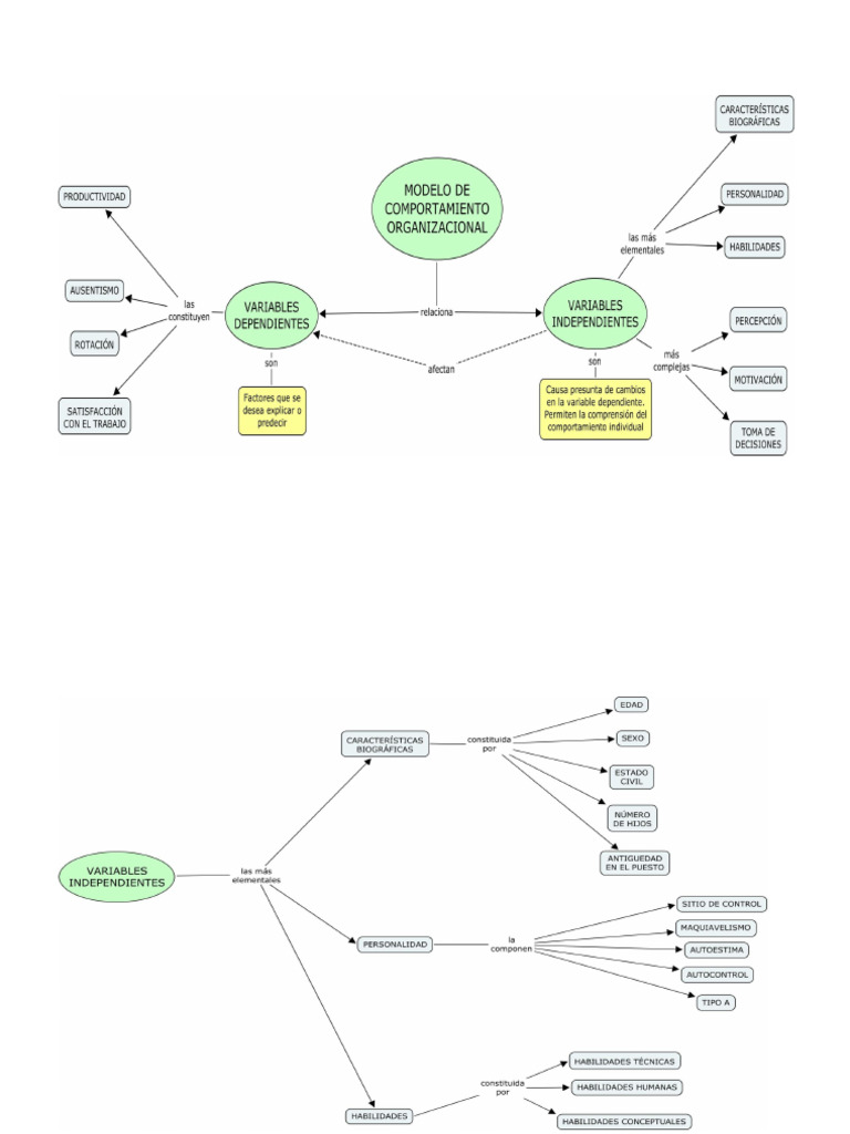 Mapa Conceptual-Modelo CO | PDF