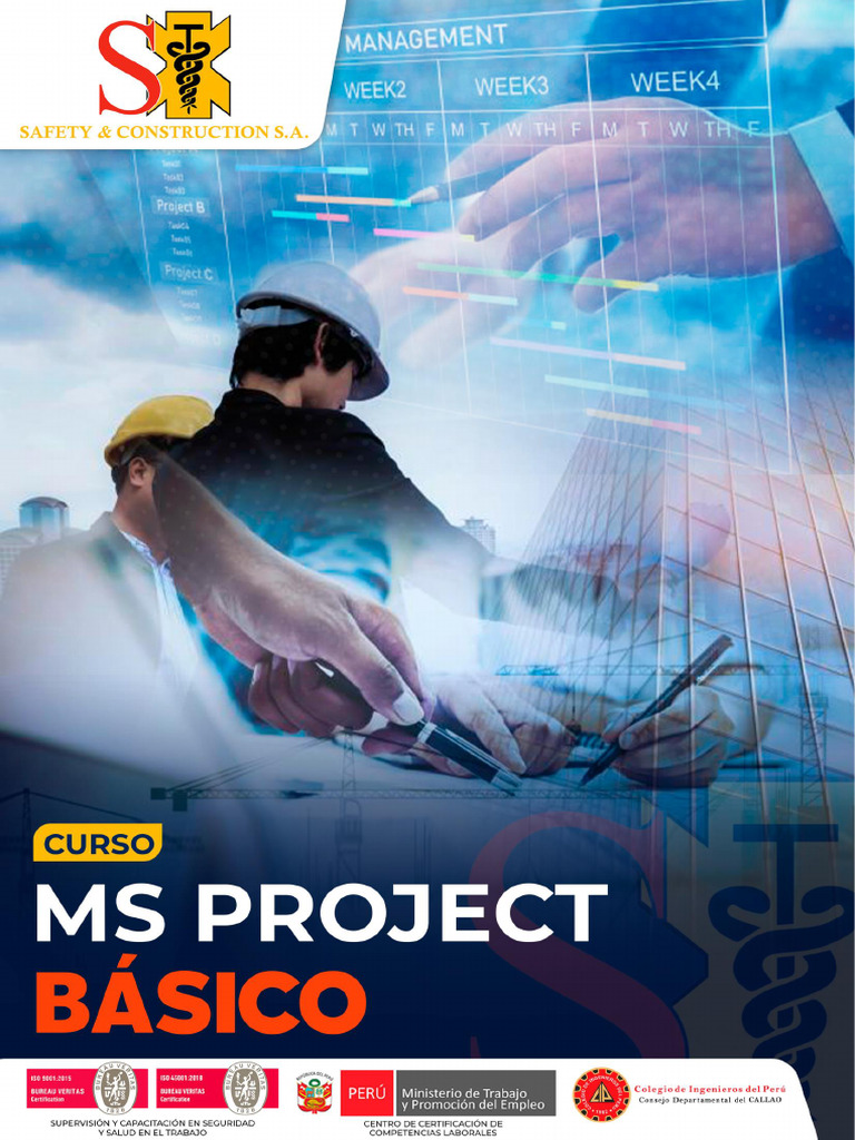 Brochure MS Project-Administración de Proyectos - Nivel Básico | PDF