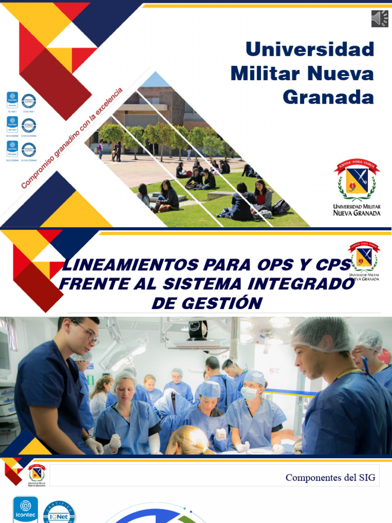 Presentación Generalidades SIG 2022.ok | PDF