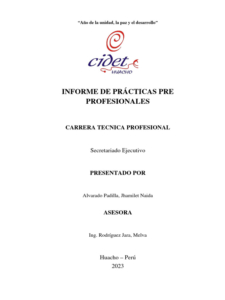 Informe de Practicas Pre Profesionales | PDF | Microsoft Excel | Microsoft Word