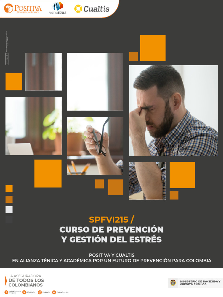 Prevencion Del Estres | PDF | Estrés (biología) | Seguridad y salud ...