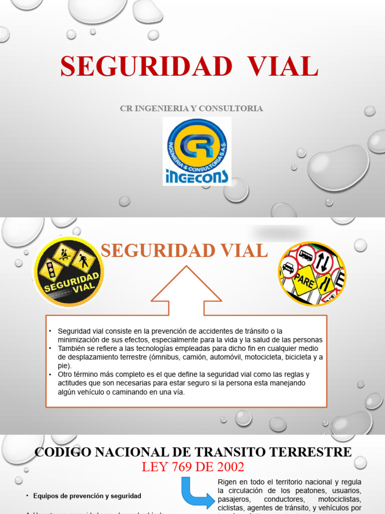 Seguridad Vial | PDF | Seguridad vial | Peatonal