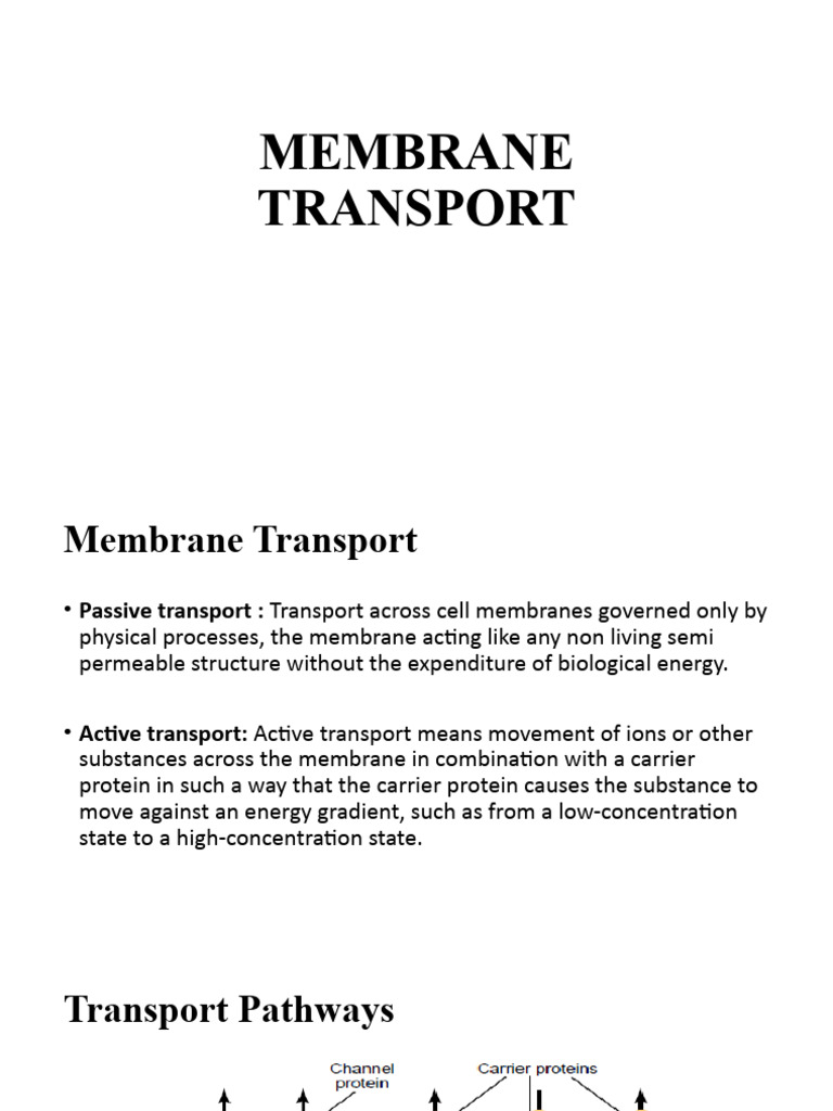 Membrane Transport AB | PDF | Cell Membrane | Diffusion