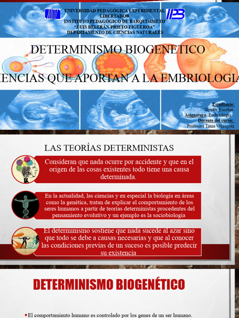Determinismo | PDF