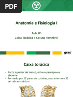 Estrutura Óssea do Tronco Humano | PDF