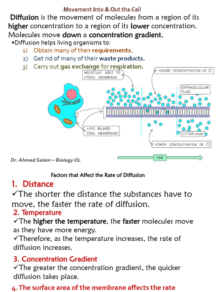 Ch3 OL Revision | PDF | Osmosis | Cell Membrane