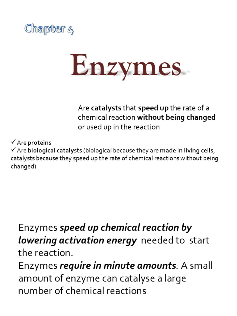 Bio Ch4 OL Lesson Summary | PDF