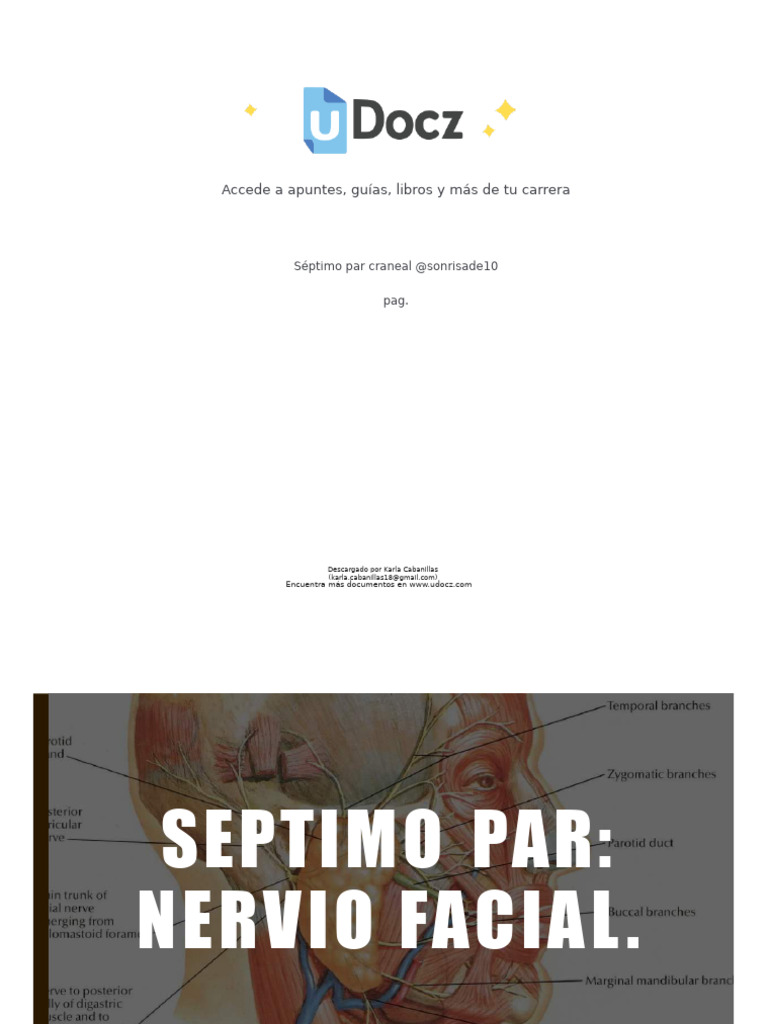 Anatomía del Séptimo Par Craneal | PDF | Anatomía humana | Cabeza y ...