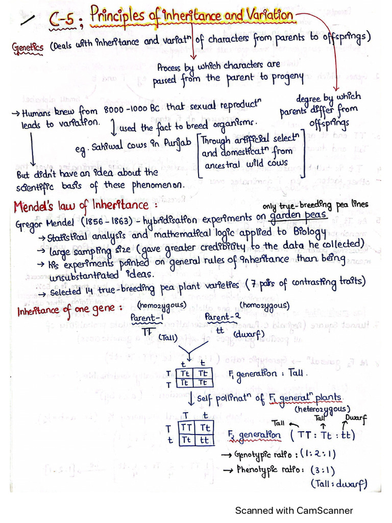 Handwritten - Principles of Inheritance | PDF