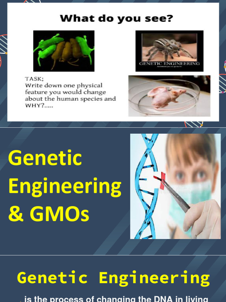 GENETIC-ENGINEERING | PDF | Genetic Engineering | Genetically Modified ...