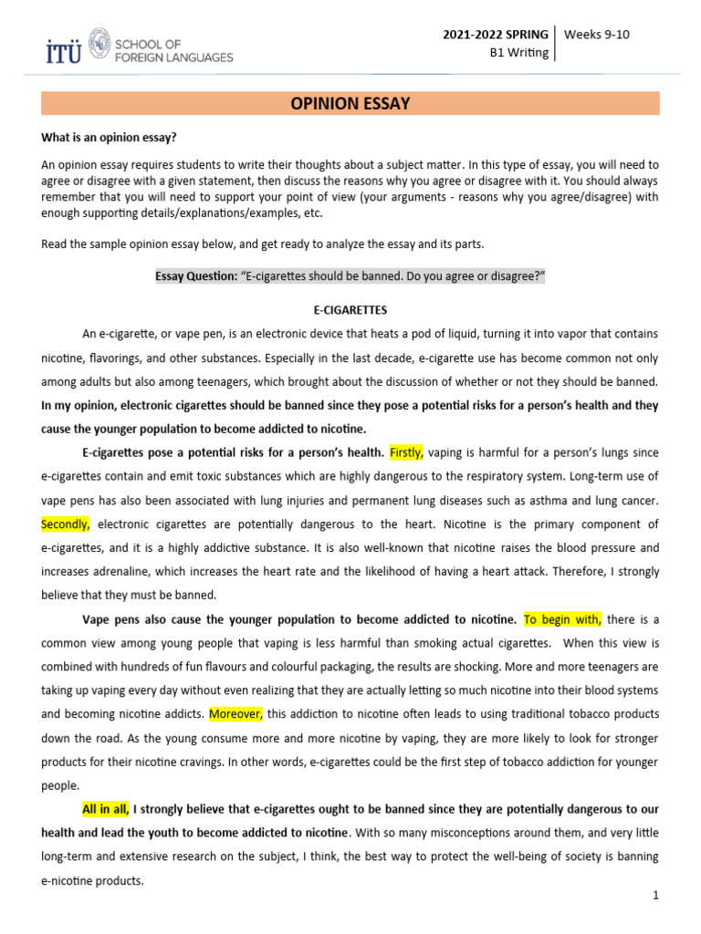 Opinion Essay | PDF