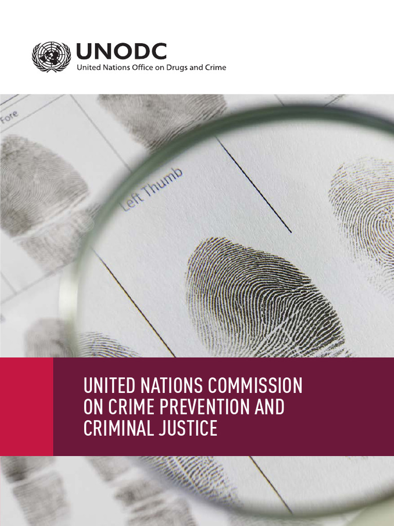 UN Crime Prevention Commission | PDF | International Relations | Justice