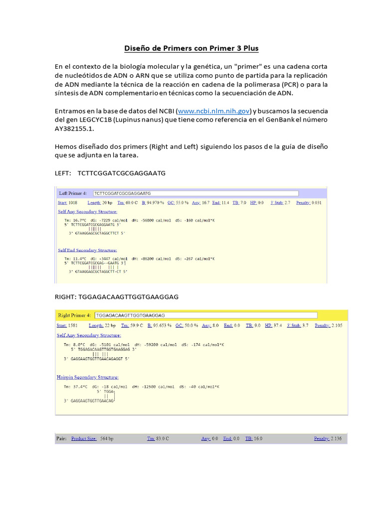 Diseño de Primers Con Primer 3 Plus: WWW - Ncbi.nlm - Nih.gov | PDF