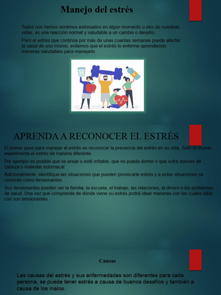 Manejo Del Estrés | PDF