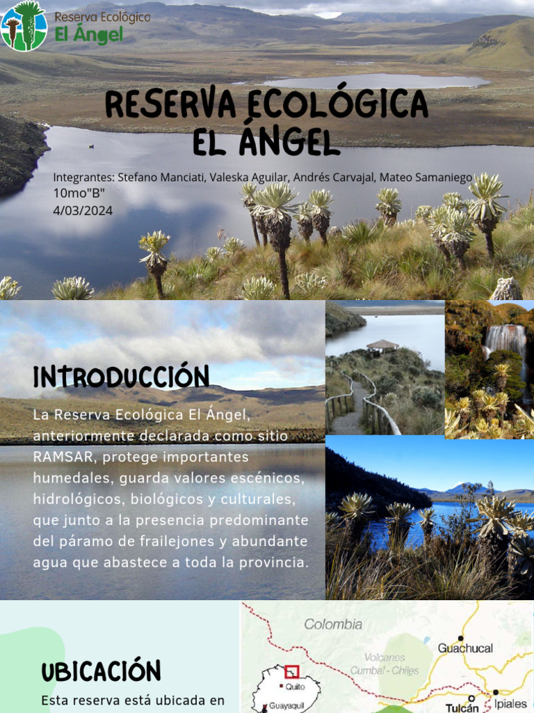 Reserva Ecológica El Ángel - 20240305 - 154306 - 0000 | PDF