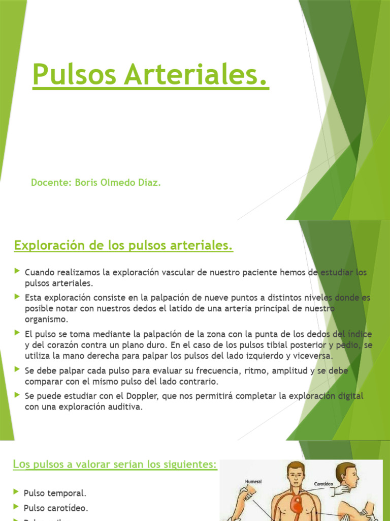 Exploración de Pulsos Arteriales | PDF | Legumbres | Sistema ...