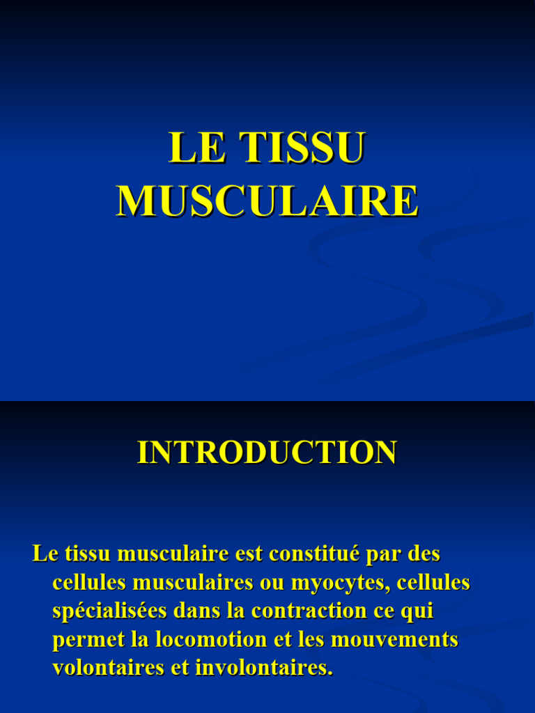 Le Tissu Musculaire | PDF | Contraction du muscle | Muscle squelettique
