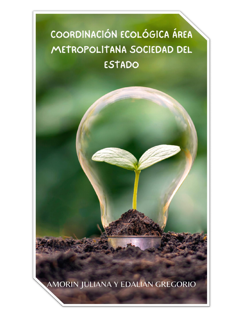 Informe CEAMSE Amorin Juliana y Edalian Gregorio | PDF