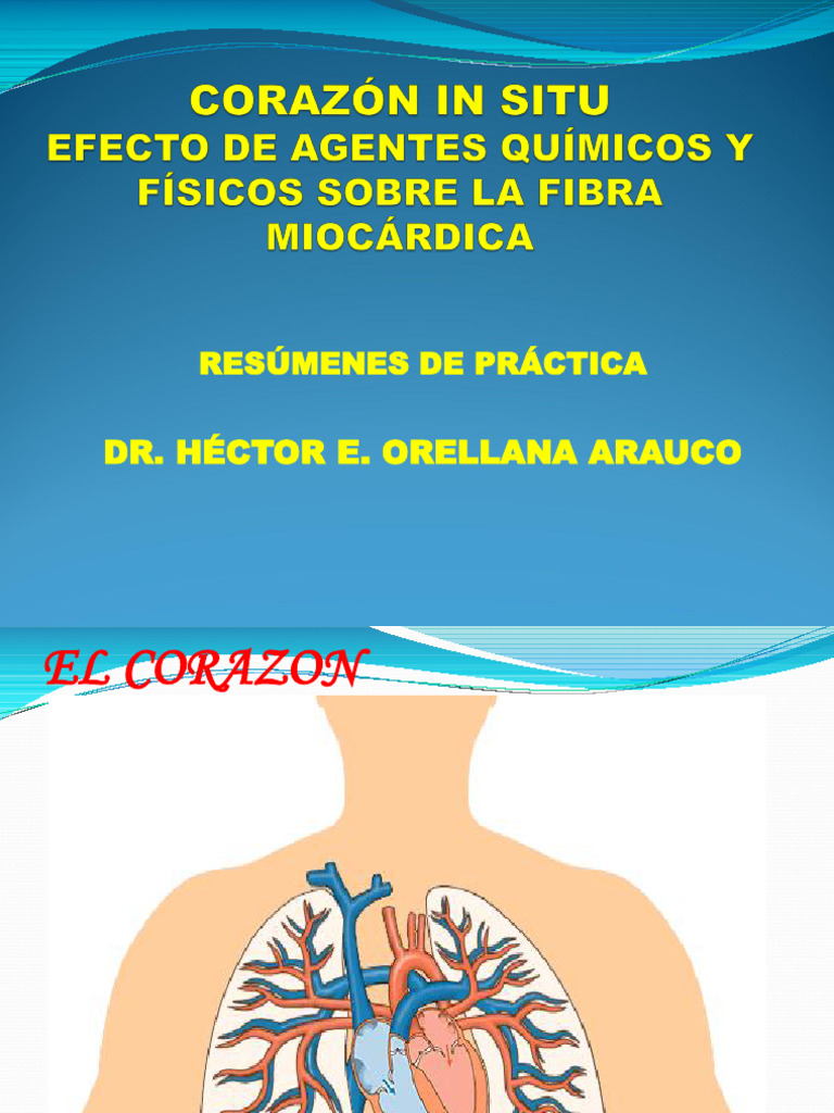 4.corazón in Situ Imptec | PDF | Corazón | Músculo cardíaco