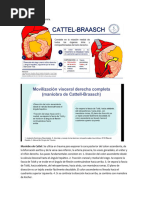 Niveles Axilares de Berg | PDF | Finanzas y dinero