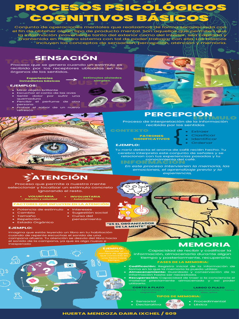 Procesos Psicológicos Cognitivos Básicos | PDF | Memoria | Percepción
