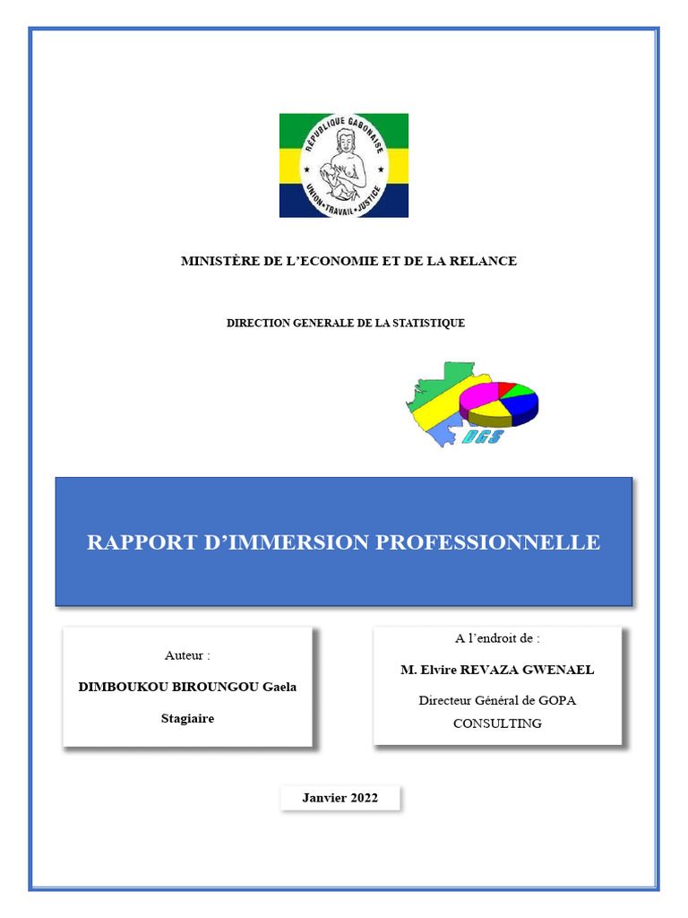 Rapport Immersion | PDF