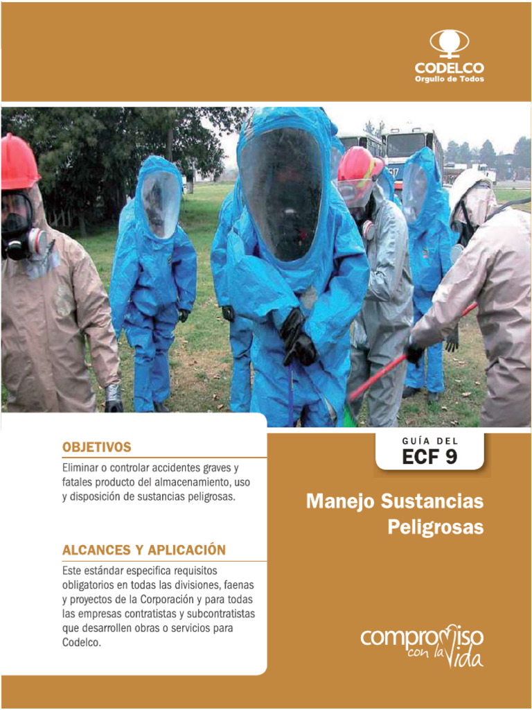 ECF 9 Manejo Sustancias Peligrosas | PDF