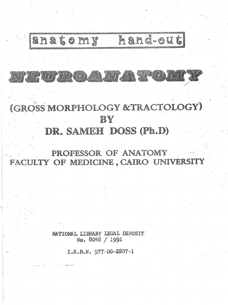Dr. Sameh Doss Neuroanatomy | PDF Dr. Sameh Doss Neuroanatomy | PDF