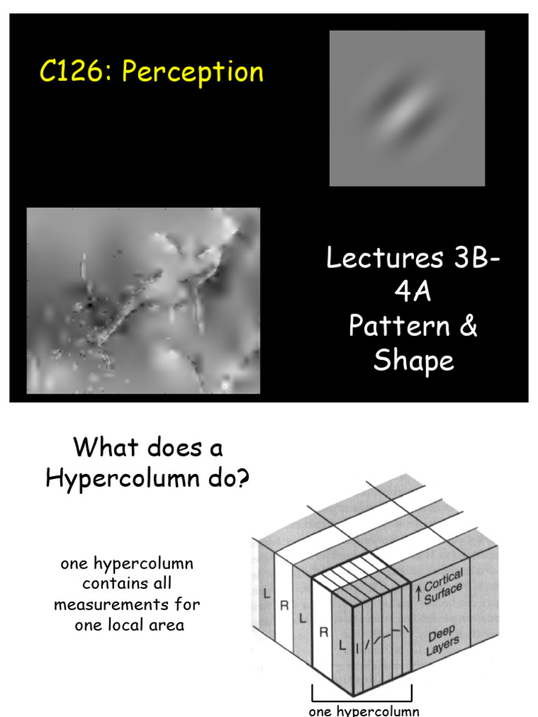 Understanding Spatial Frequency in Perception | PDF