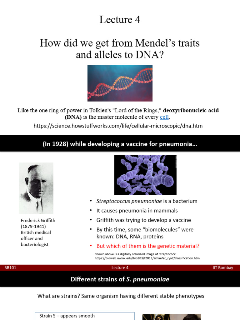 Class-4_DNA as Genetic Material_final | PDF | Chromosome | Dna