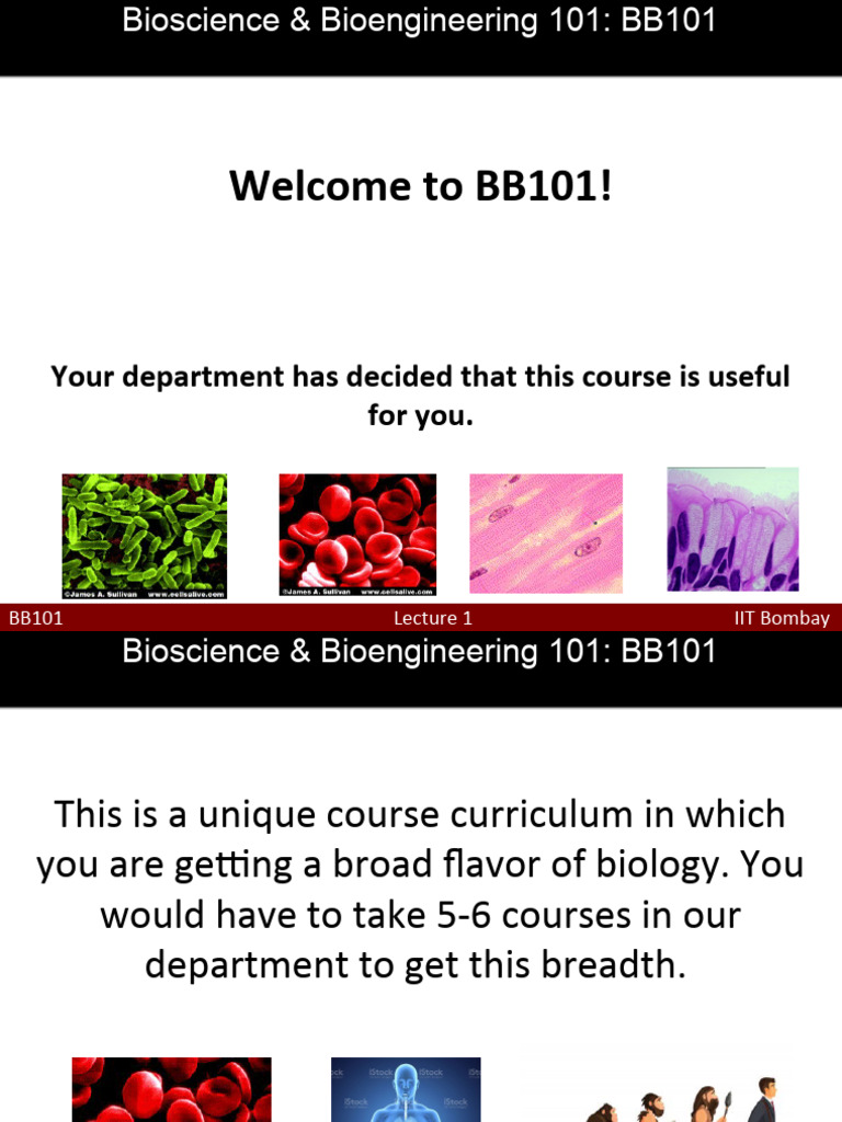 BB101 Class 1. Introduction | PDF | Dna | Base Pair