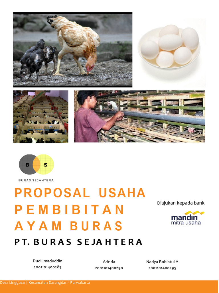 Proposal Ayam Buras | PDF