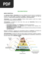 Redes Tróficas: Materia y Energía | PDF | Red alimentaria | Ecología